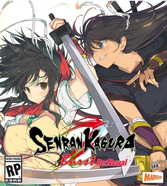 Senran Kagura Burst Re:Newal - Retrollect.com